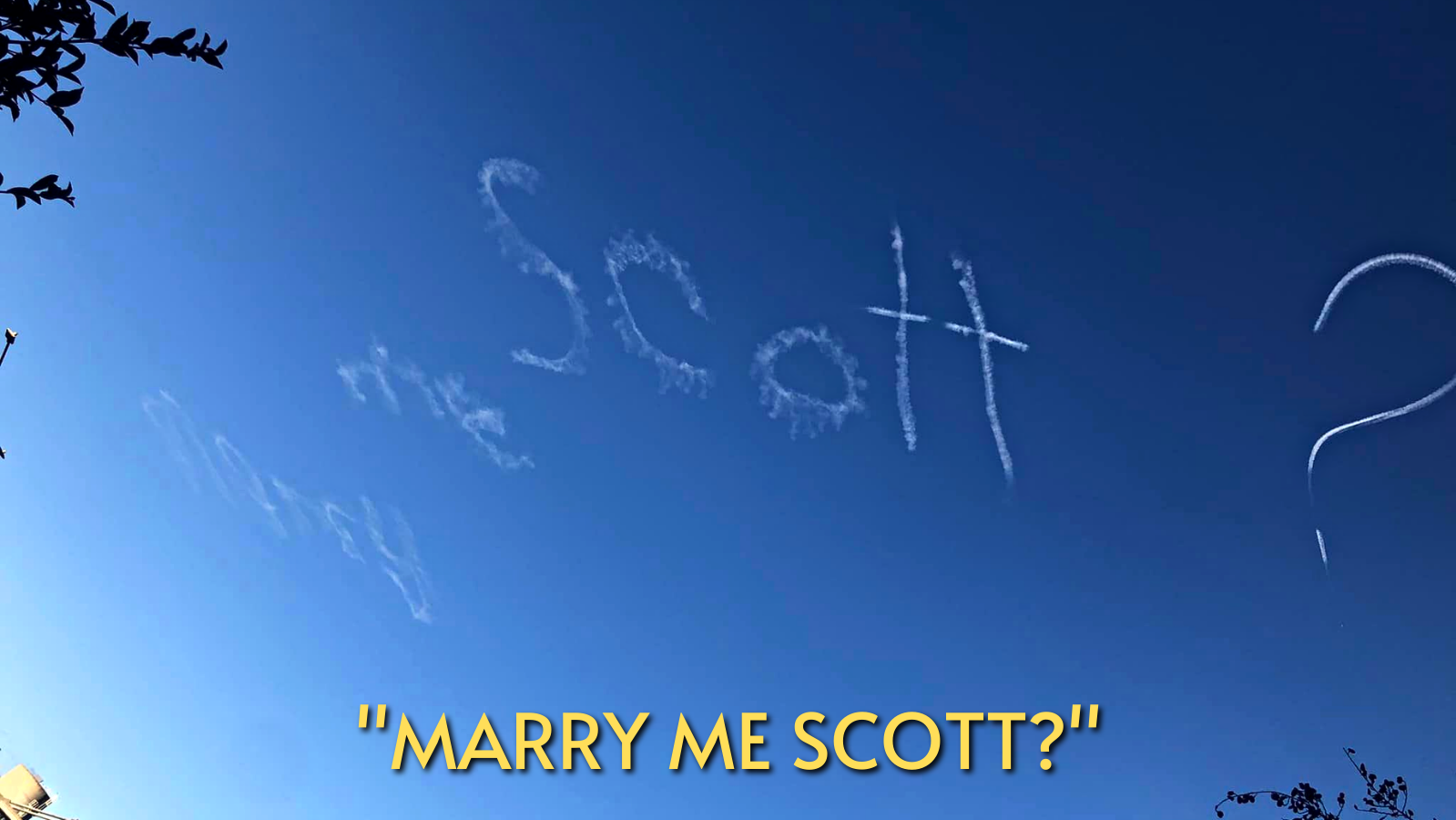 Bambi & Scott's proposal captures the hearts of Canberrans