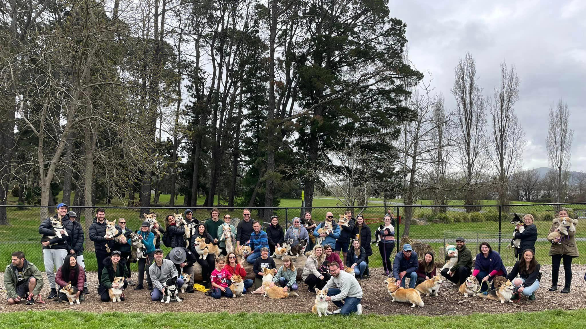 Canberra Corgi's come together to commemorate Queen Elizabeth II