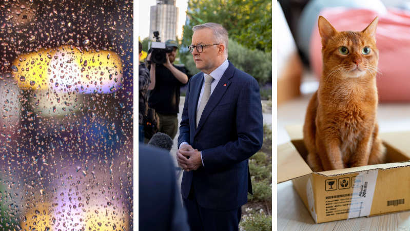 Listen to what's making news this Thursday